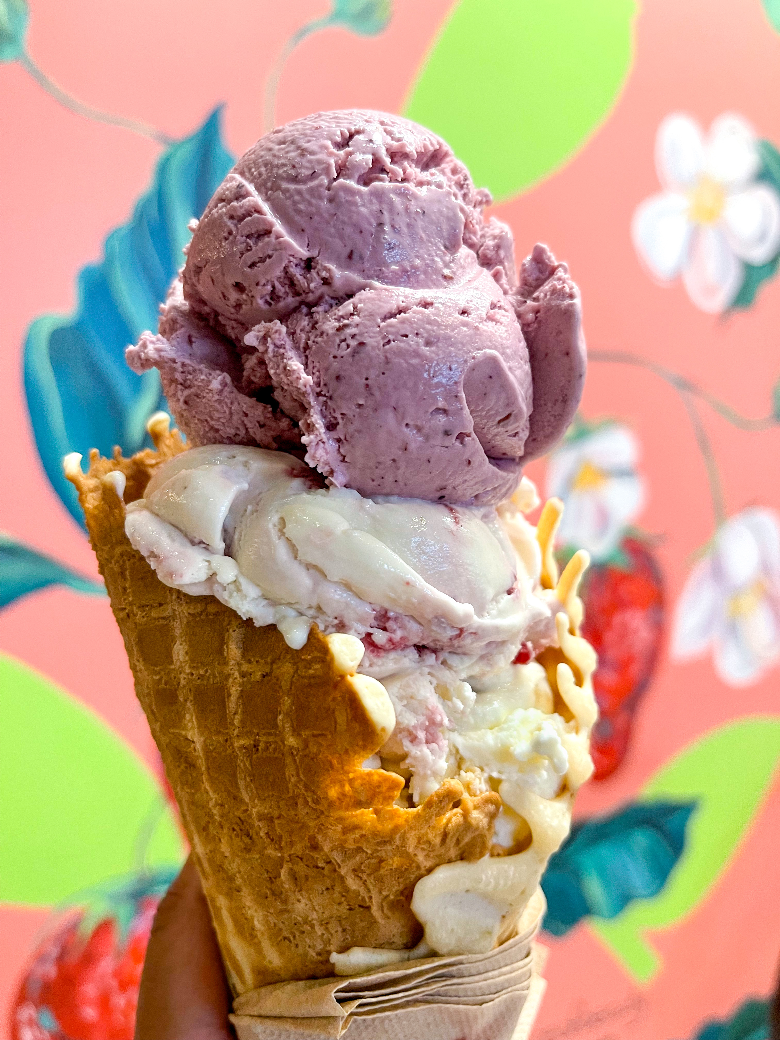DMV Ice Cream & Gelato Shops Guide – Foodish Ways